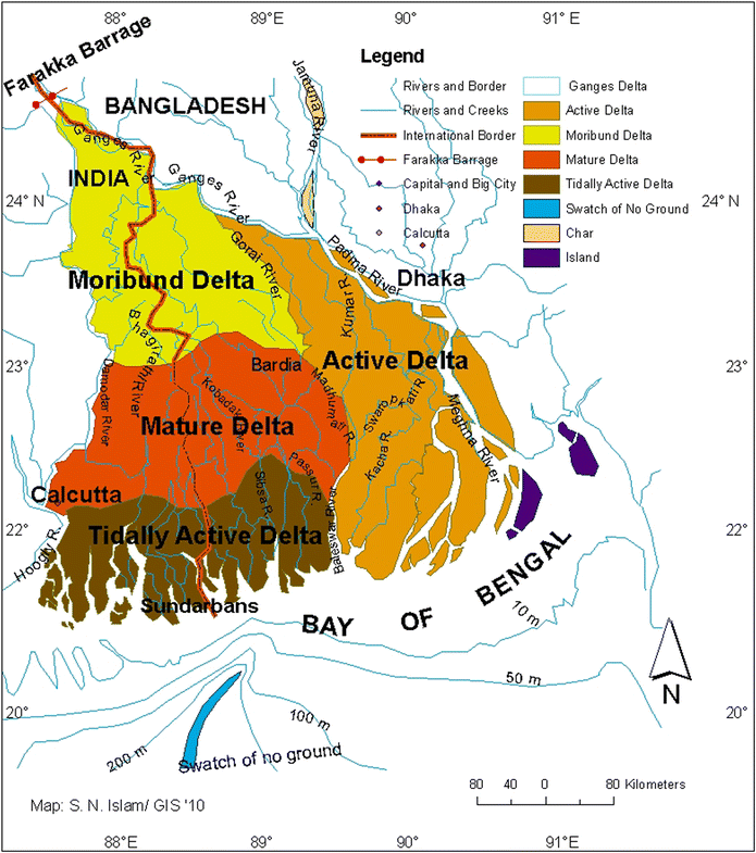 Deltaic floodplains development and wetland ecosystems management in ...