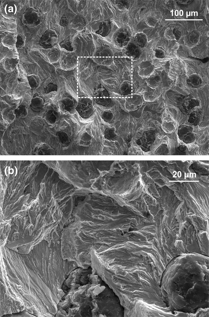 Chunky Graphite in Ferritic Spheroidal Graphite Cast Iron: Formation ...
