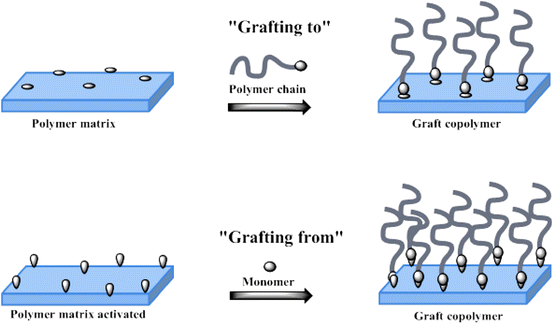 Radiation Grafting for the Functionalization and Development of Smart ...