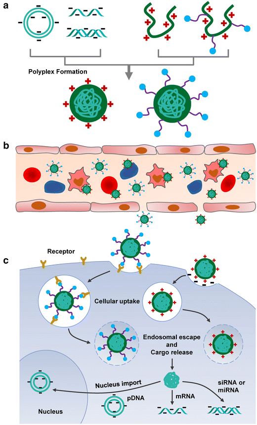 History of Polymeric Gene Delivery Systems | SpringerLink