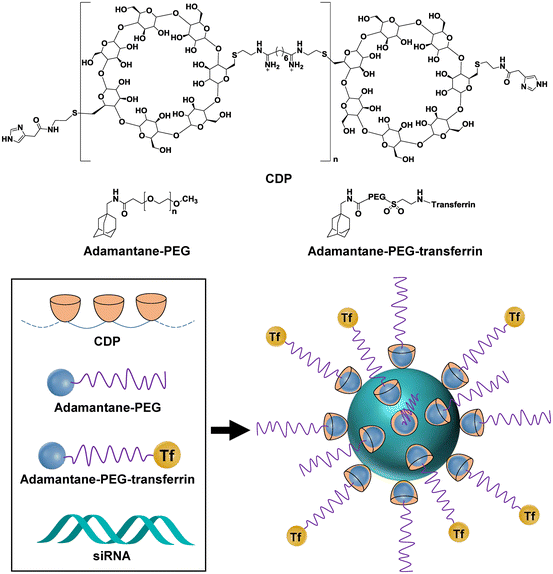 History of Polymeric Gene Delivery Systems | SpringerLink
