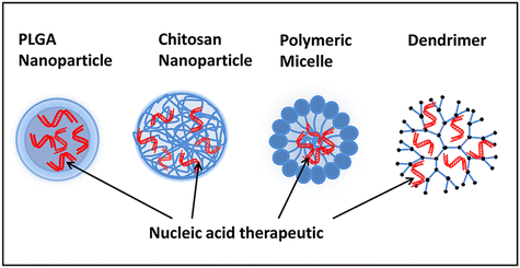 Polymeric Nanoparticle-Mediated Gene Delivery for Lung Cancer Treatment ...