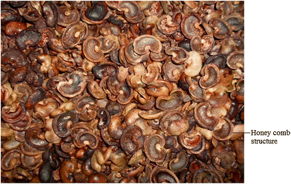 Chemical Valorization of Cashew Nut Shell Waste | SpringerLink