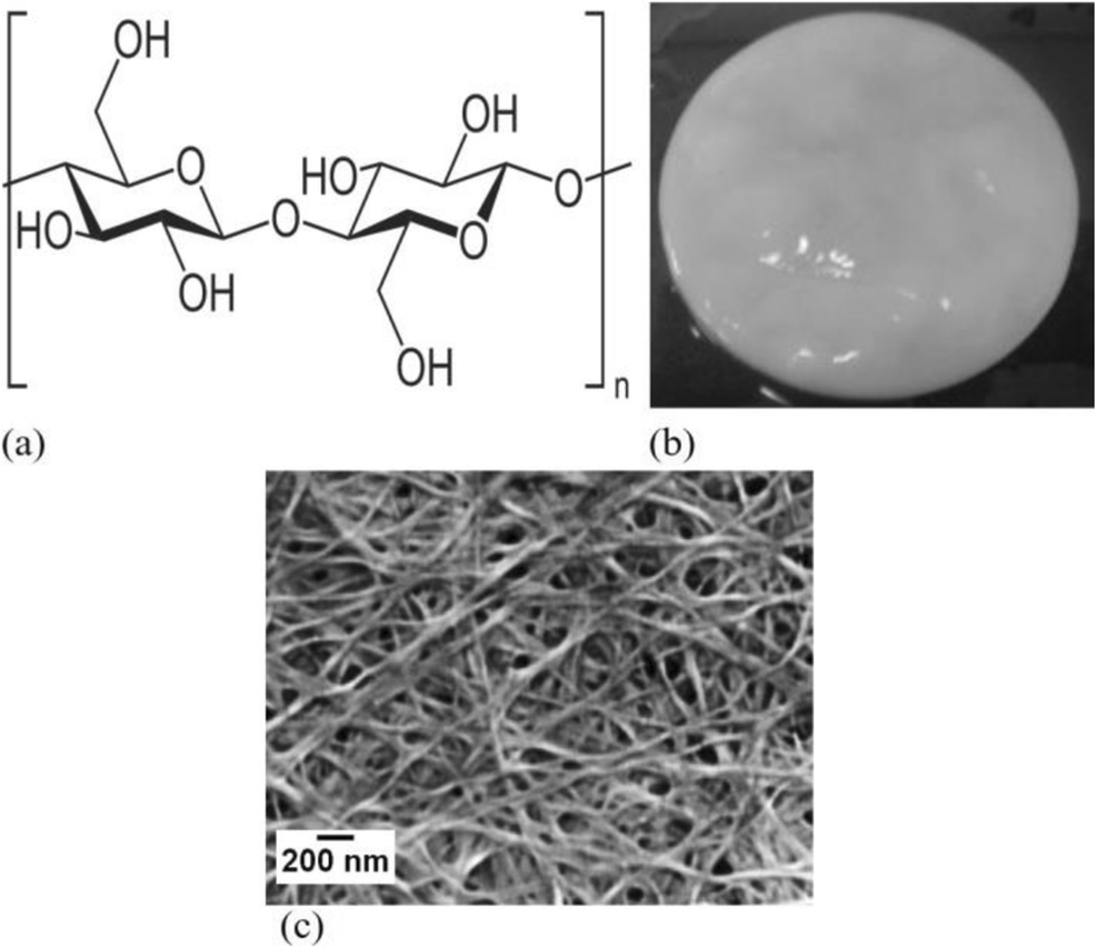 Bacterial cellulose-derived carbon nanofibers as anode for lithium-ion ...