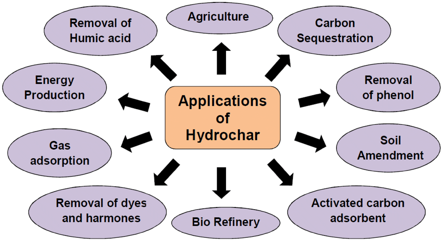 A Comprehensive Review on Hydrothermal Carbonization of Biomass and its Applications | SpringerLink