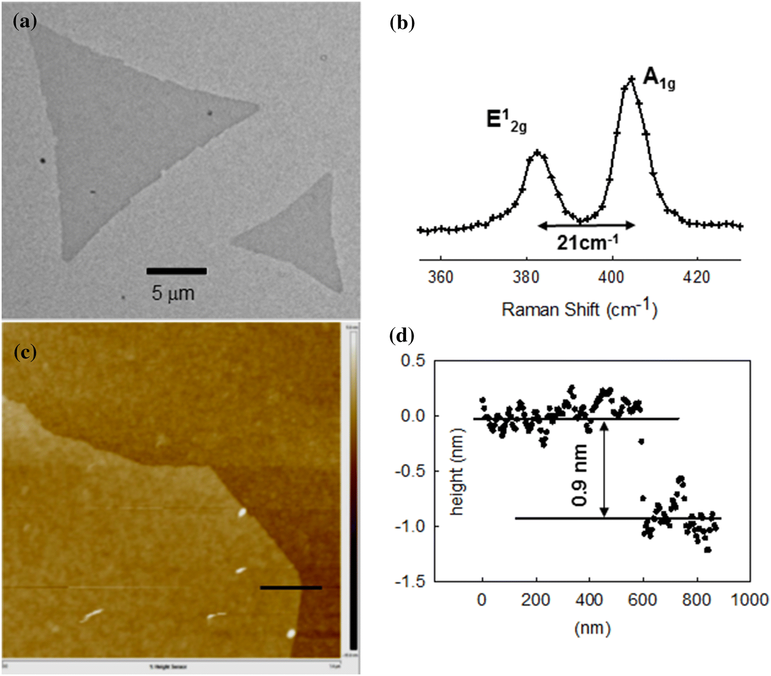 Rectifying effect in a MoS2 monolayer crossed with an electro-spun ...