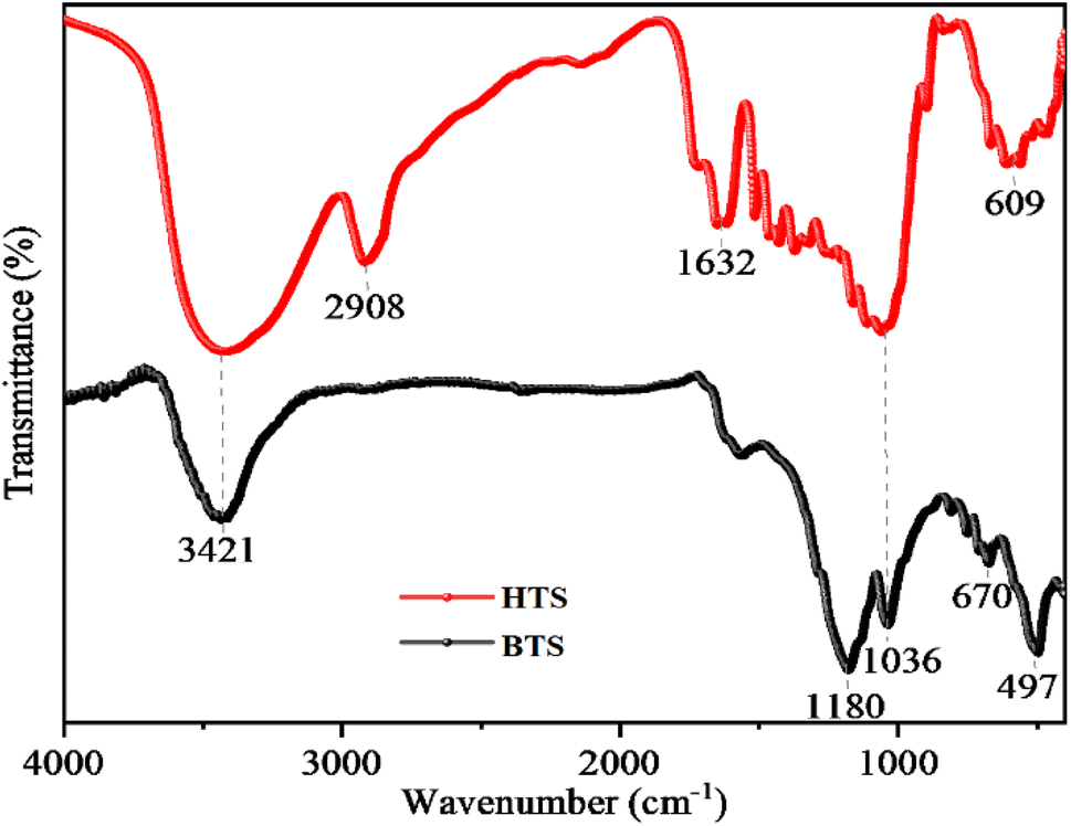 Preparation, characterization and cost analysis of activated biochar and hydrochar derived from ...