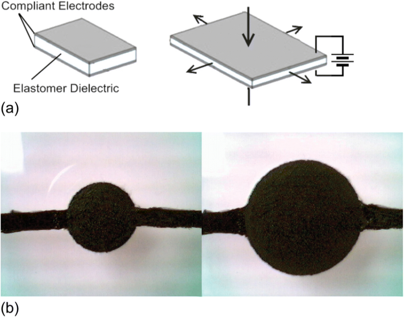 Electroactive polymer (EAP) actuators—background review | SpringerLink