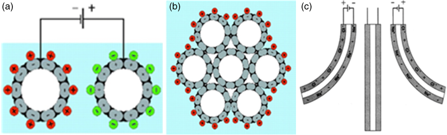 Electroactive polymer (EAP) actuators—background review | SpringerLink