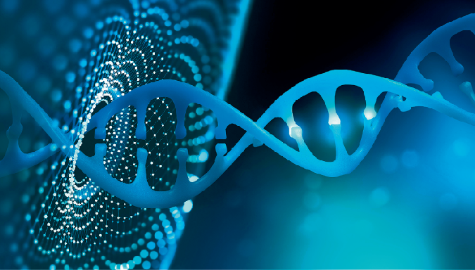 Top ten news stories in 2024 | Nature Biotechnology