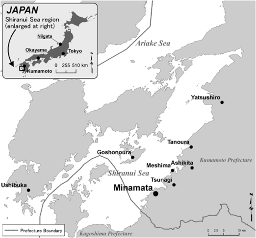 Minamata disease: Catastrophic poisoning due to a failed public health ...