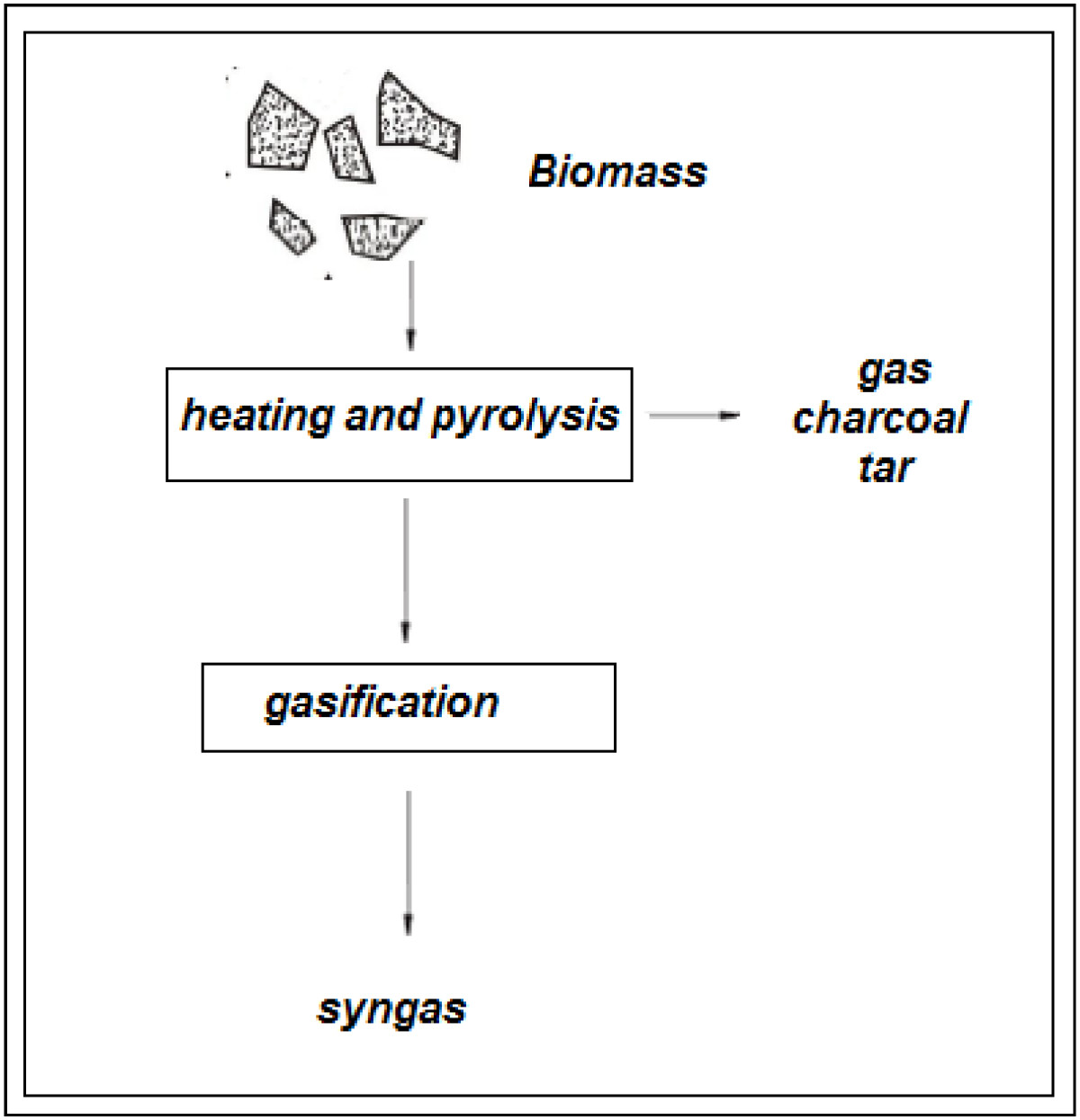 Thermochemical processes for biofuels production from biomass ...