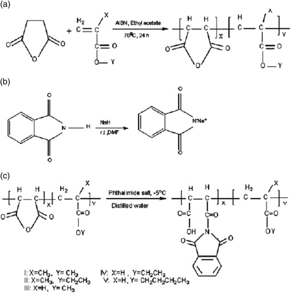 Synthesis and chemical modification of maleic anhydride copolymers with ...