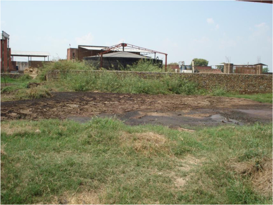 Organic manure production from cow dung and biogas plant slurry by ...