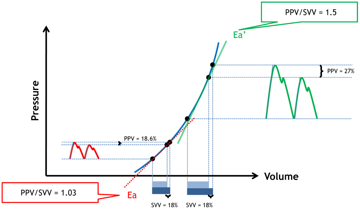 Pulse pressure variation, stroke volume variation and dynamic arterial ...