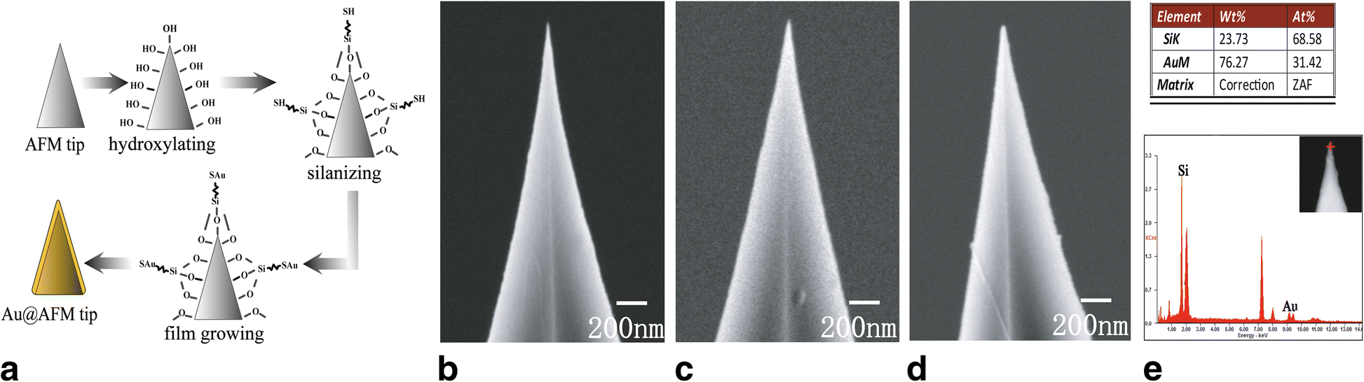 Controllable Fabrication of Au-Coated AFM Probes via a Wet-Chemistry ...