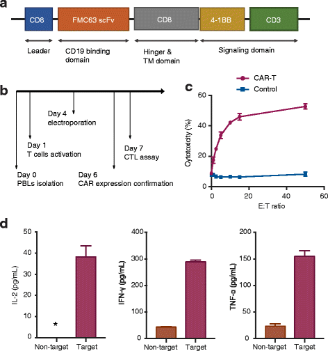 Optimized DNA electroporation for primary human T cell engineering ...