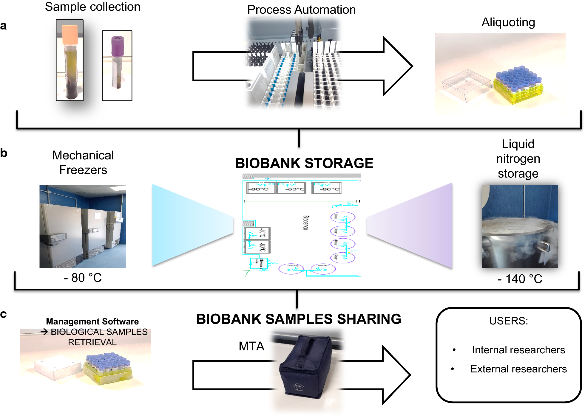 Biobanking in health care: evolution and future directions | SpringerLink