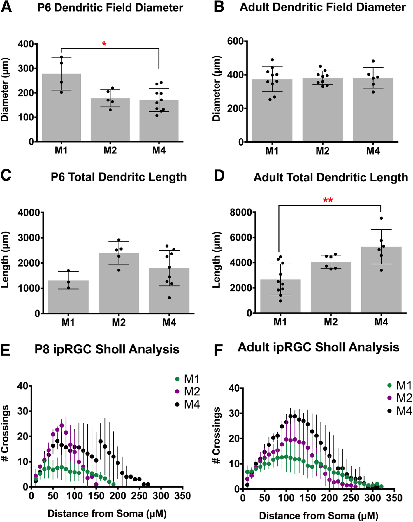 Cellular properties of intrinsically photosensitive retinal ganglion ...