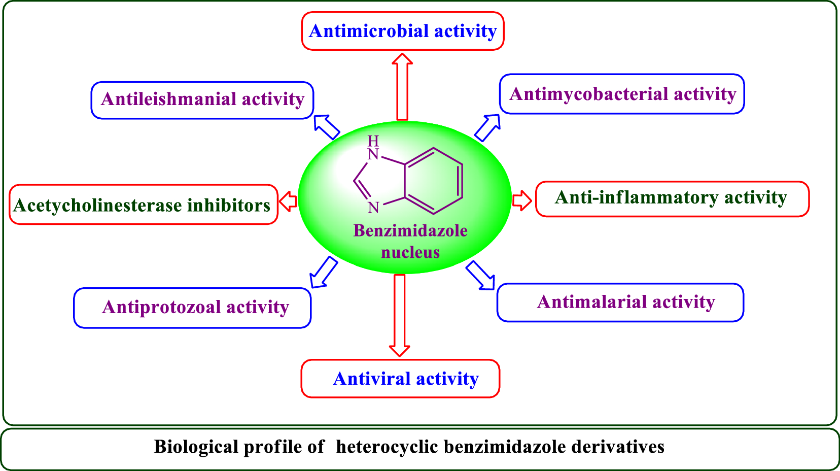Pharmacological significance of heterocyclic 1 H-benzimidazole ...