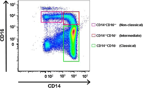 Clinical significance of monocyte heterogeneity | SpringerLink