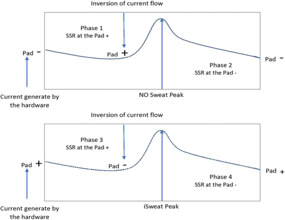 New method of sudomotor function measurement to detect microvascular ...