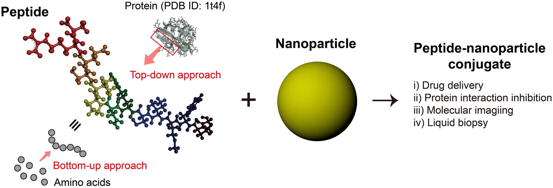 Peptide–nanoparticle conjugates: a next generation of diagnostic and ...