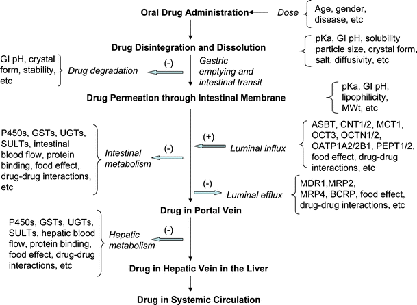 Mechanistic Approaches to Predicting Oral Drug Absorption | SpringerLink