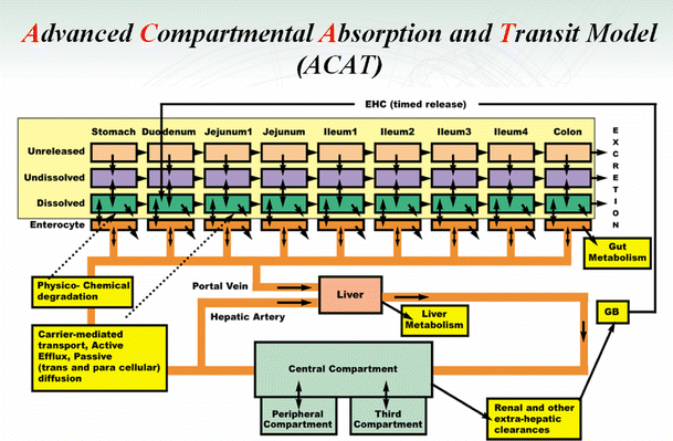 Mechanistic Approaches to Predicting Oral Drug Absorption | SpringerLink