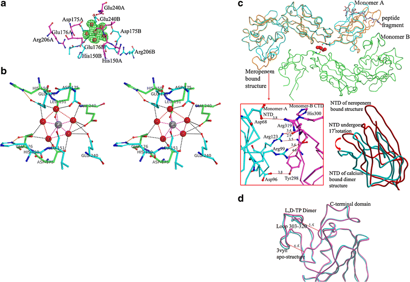 Structure and Inhibitor Specificity of L,D-Transpeptidase (LdtMt2) from ...