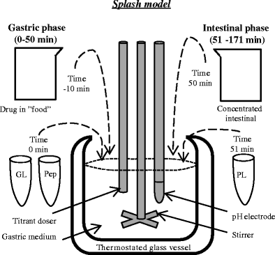 In Vitro Model Simulating Gastro-Intestinal Digestion in the Pediatric ...