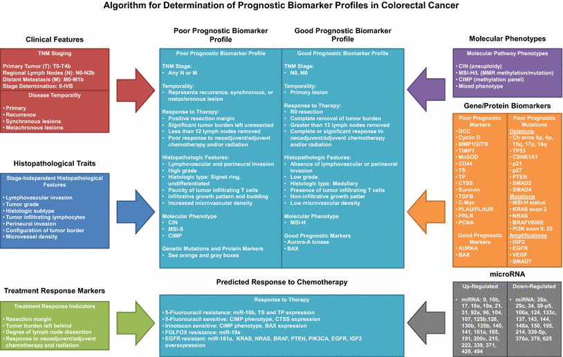 Prognostic and Predictive Biomarkers in Colorectal Cancer: Implications ...