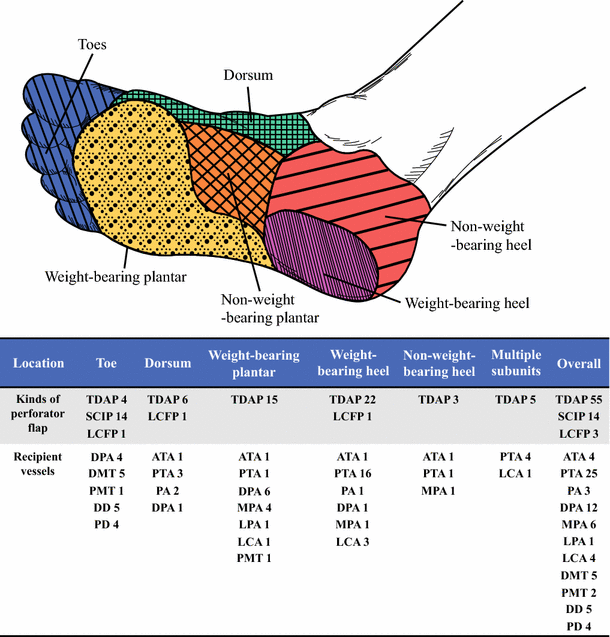 Reconstruction Outcomes of Oncologic Foot Defect Using Well-Contoured ...