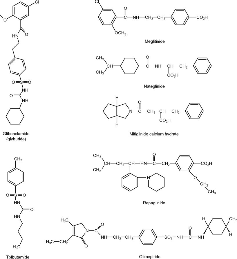 Meglitinide Analogues in the Treatment of Type 2 Diabetes Mellitus ...