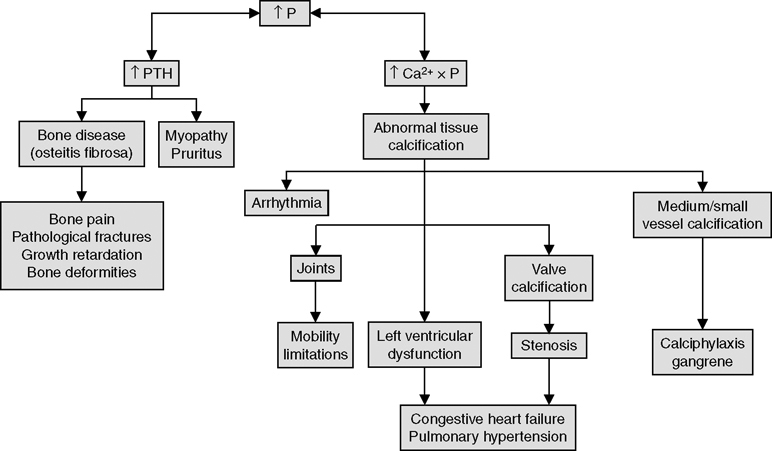 Management of Hyperphosphataemia in Dialysis Patients | SpringerLink