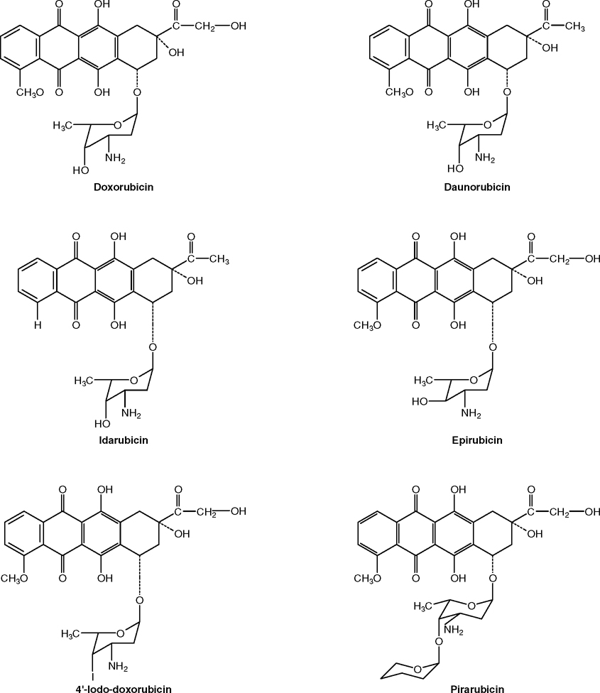 Pharmacokinetic-Pharmacodynamic Relationships of the Anthracycline ...
