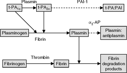 Pharmacokinetics and Pharmacodynamics of Tenecteplase in Fibrinolytic ...