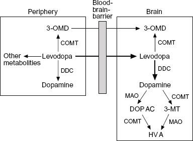 Clinical Pharmacology, Therapeutic Use and Potential of COMT Inhibitors ...