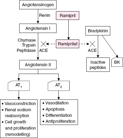 Ramipril | SpringerLink