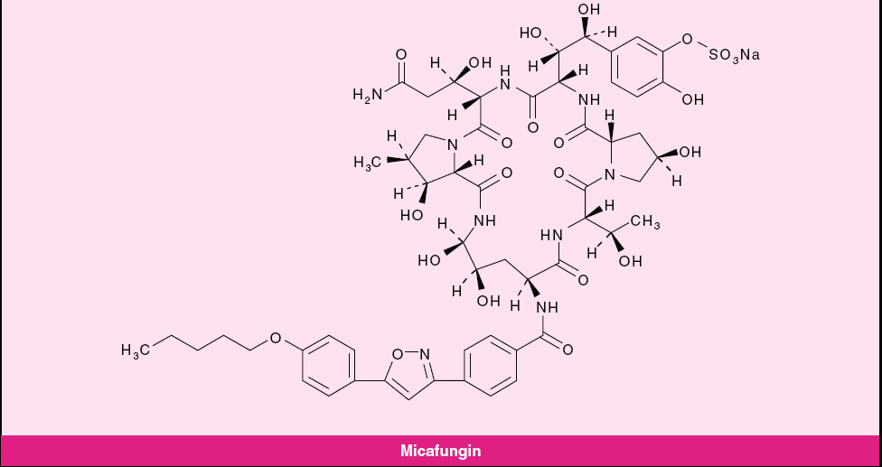 Micafungin | SpringerLink