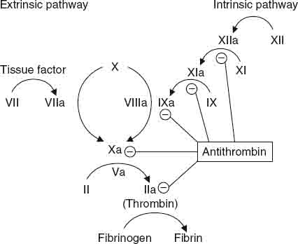 Hereditary and Acquired Antithrombin Deficiency | SpringerLink