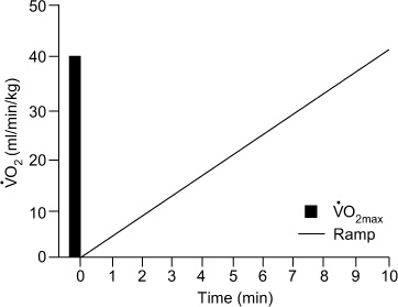 Ramp Exercise Protocols for Clinical and Cardiopulmonary Exercise ...