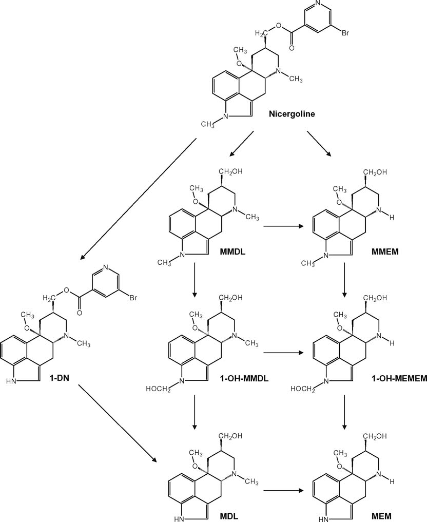 Nicergoline in Dementia | SpringerLink