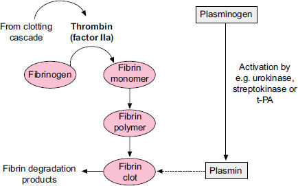 Tenecteplase | SpringerLink