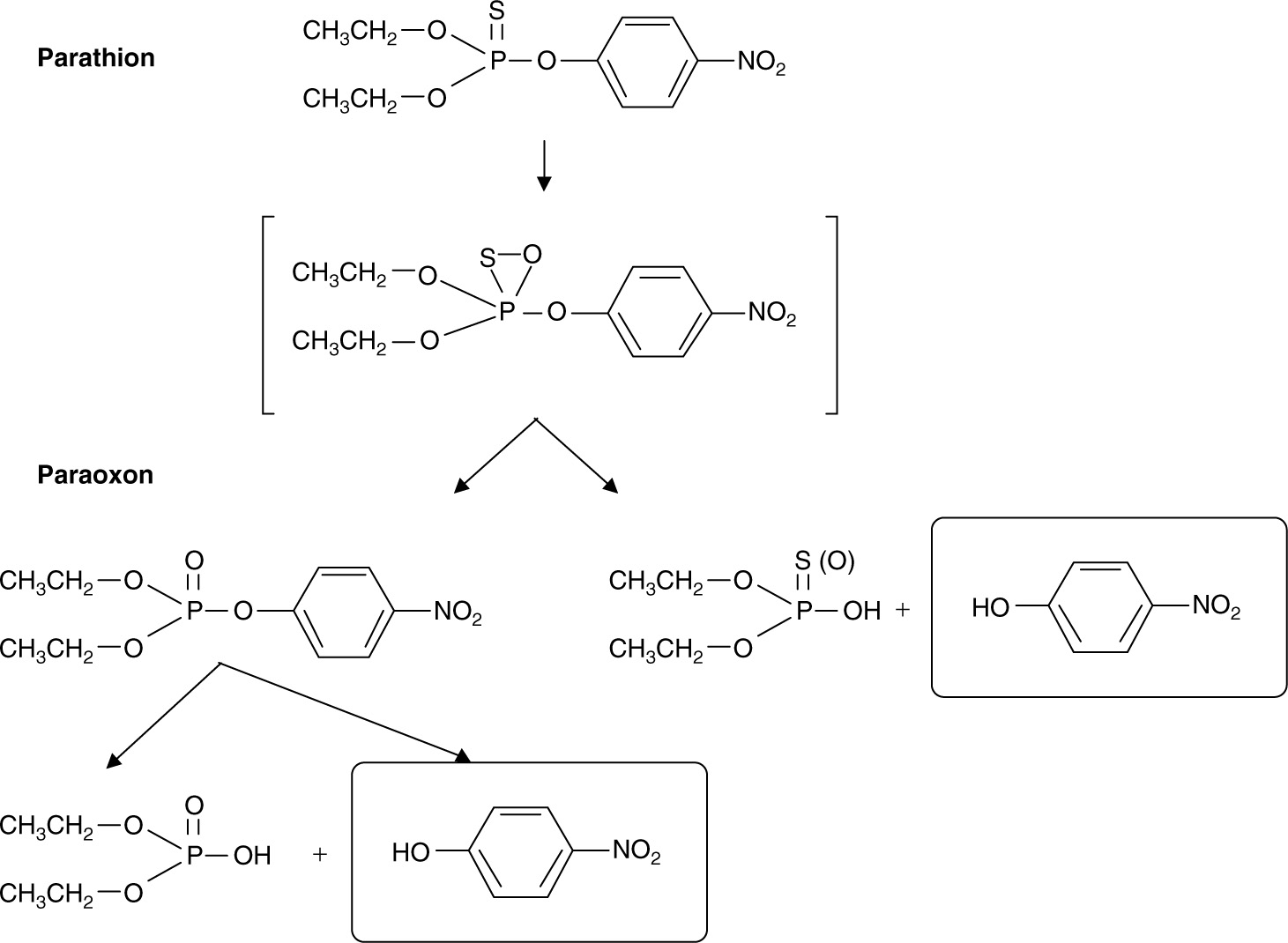 Human Parathion Poisoning | SpringerLink