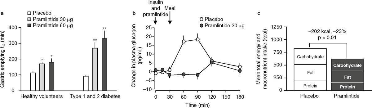 Pramlintide in the Treatment of Diabetes Mellitus | SpringerLink