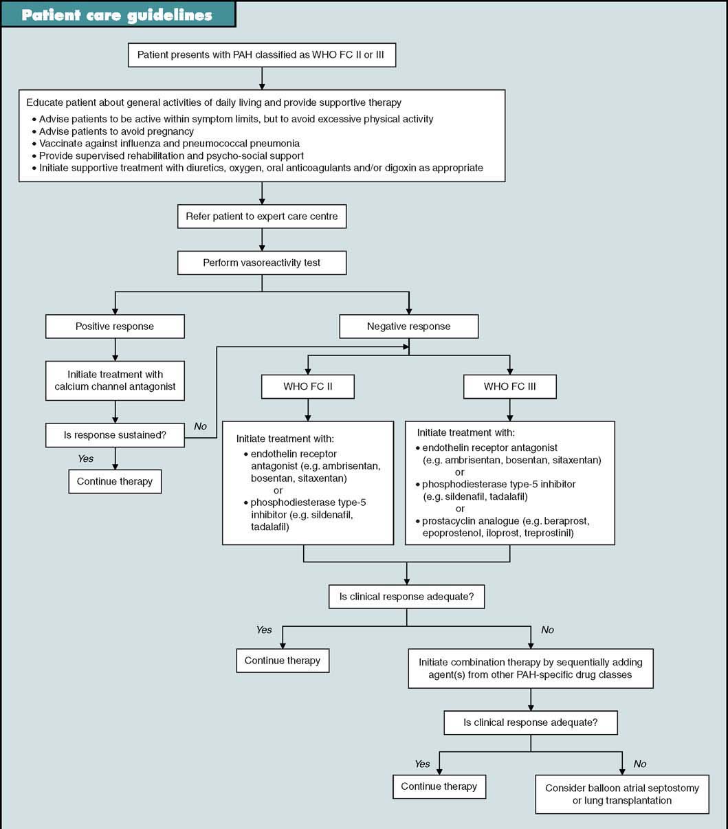 Ambrisentan: a guide to its use in pulmonary arterial hypertension ...