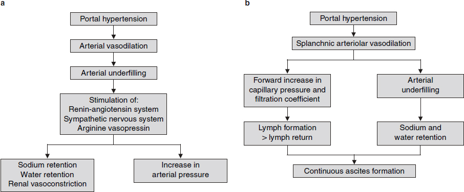 Management of Ascites | SpringerLink
