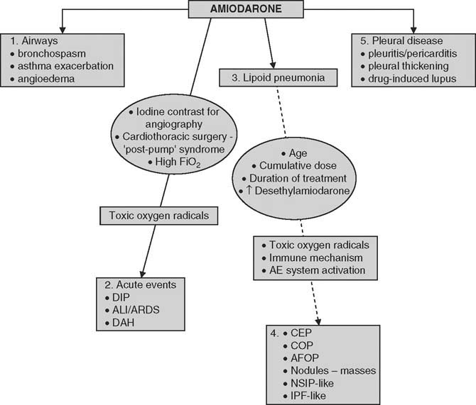 Amiodarone | SpringerLink