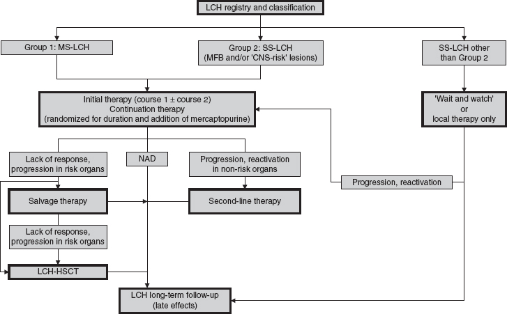 Multisystem Langerhans Cell Histiocytosis in Children | SpringerLink